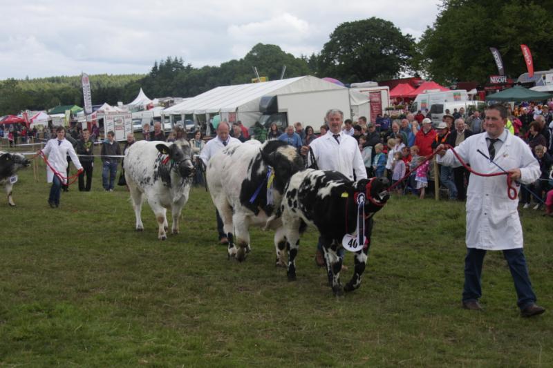 Castlewellan Show