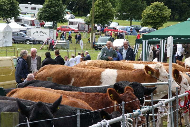 Castlewellan Show