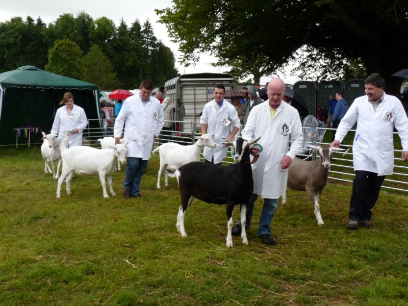 Castlewellan Show