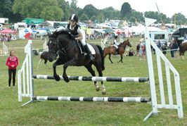 Castlewellan Show 2013